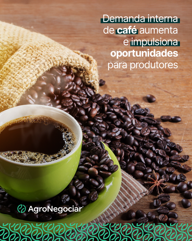 Conteudos - Leandro de Paula